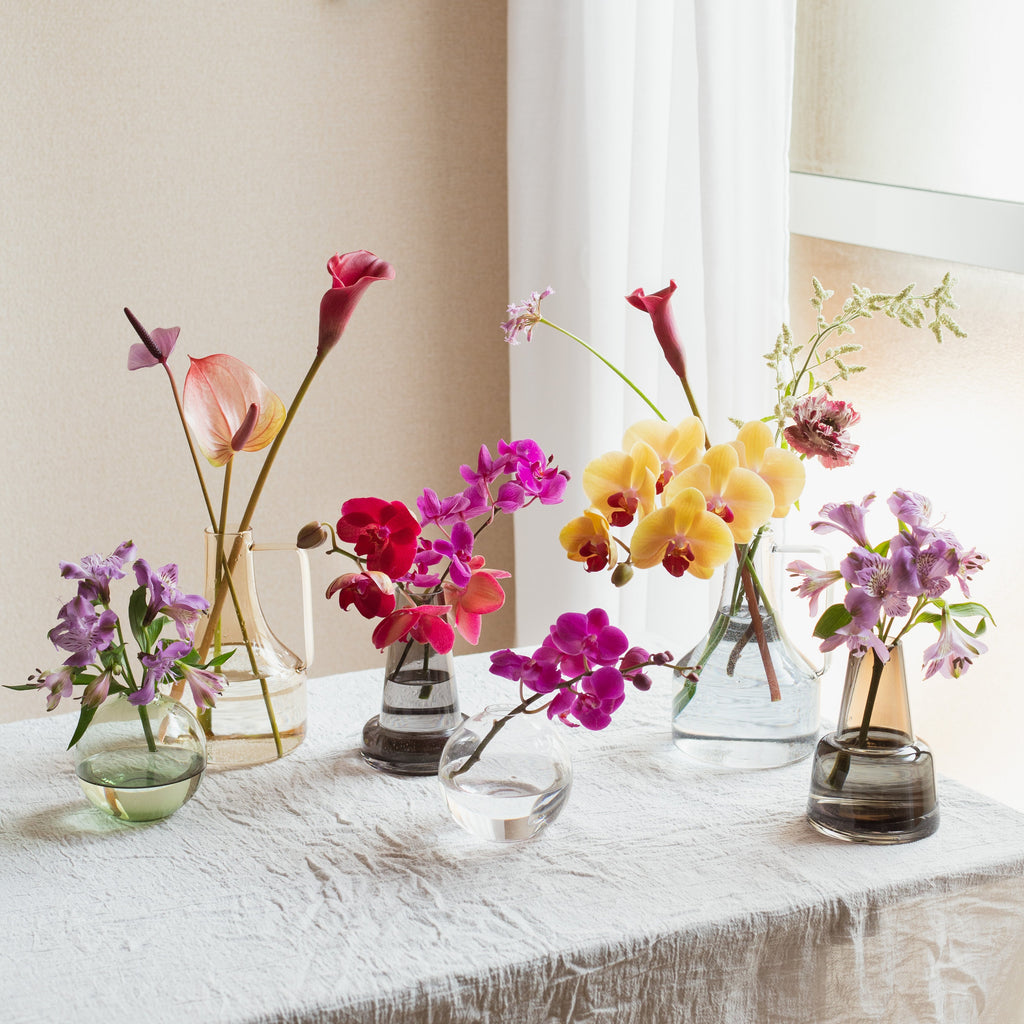 ミディファレノのアソート – LIFFT